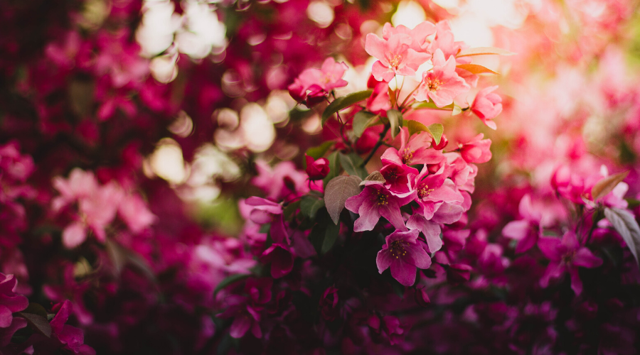 Jussara Mendes | Home